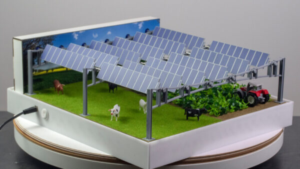 Agrivoltaic Solar Farm Model - Architectural Models