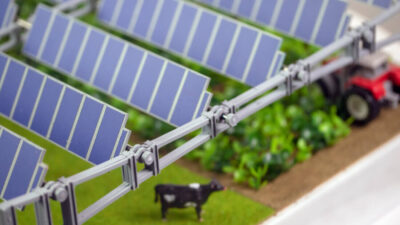 Agrivoltaic Solar Farm Model - Architectural Models