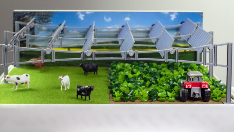 Agrivoltaic Solar Farm Model - Architectural Models