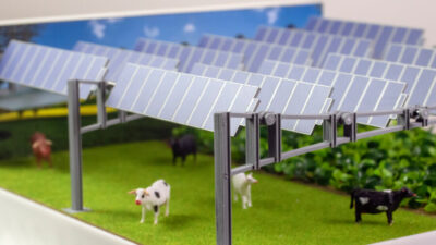Agrivoltaic Solar Farm Model - Architectural Models