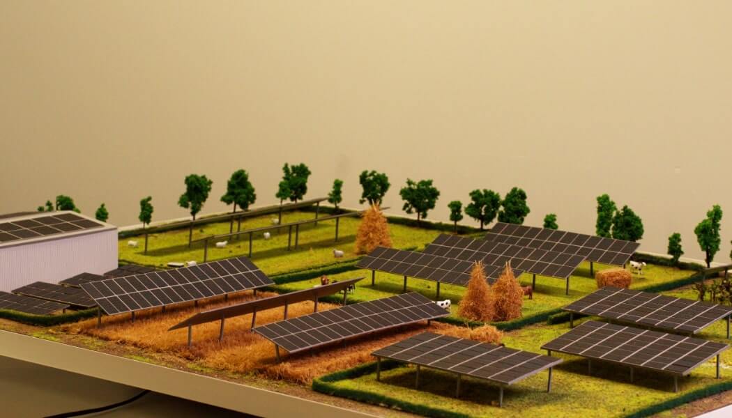 Agrivoltaic Farm Model - Architectural Models