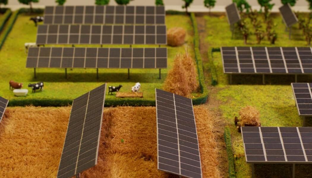 Agrivoltaic Farm Model - Architectural Models